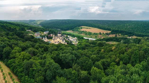 Codru - Wine of Moldova - a legend alive
